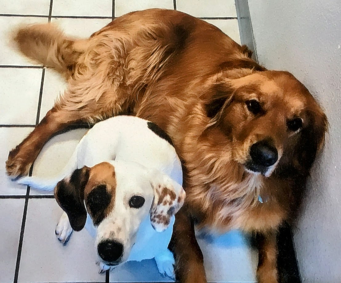 Auto Repair Simi Valley, CA - Car Service | A & D Automotive